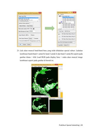 Praktikum Penginderaan Jauh Spatial Subsetting (ENVI 5.0) | PDF