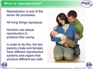 351376039-7B-Reproduction.ppt for students | PPT