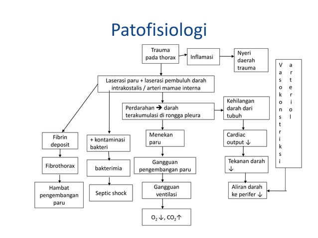 351383036-HEMATOTHORAX-ppt.pptx