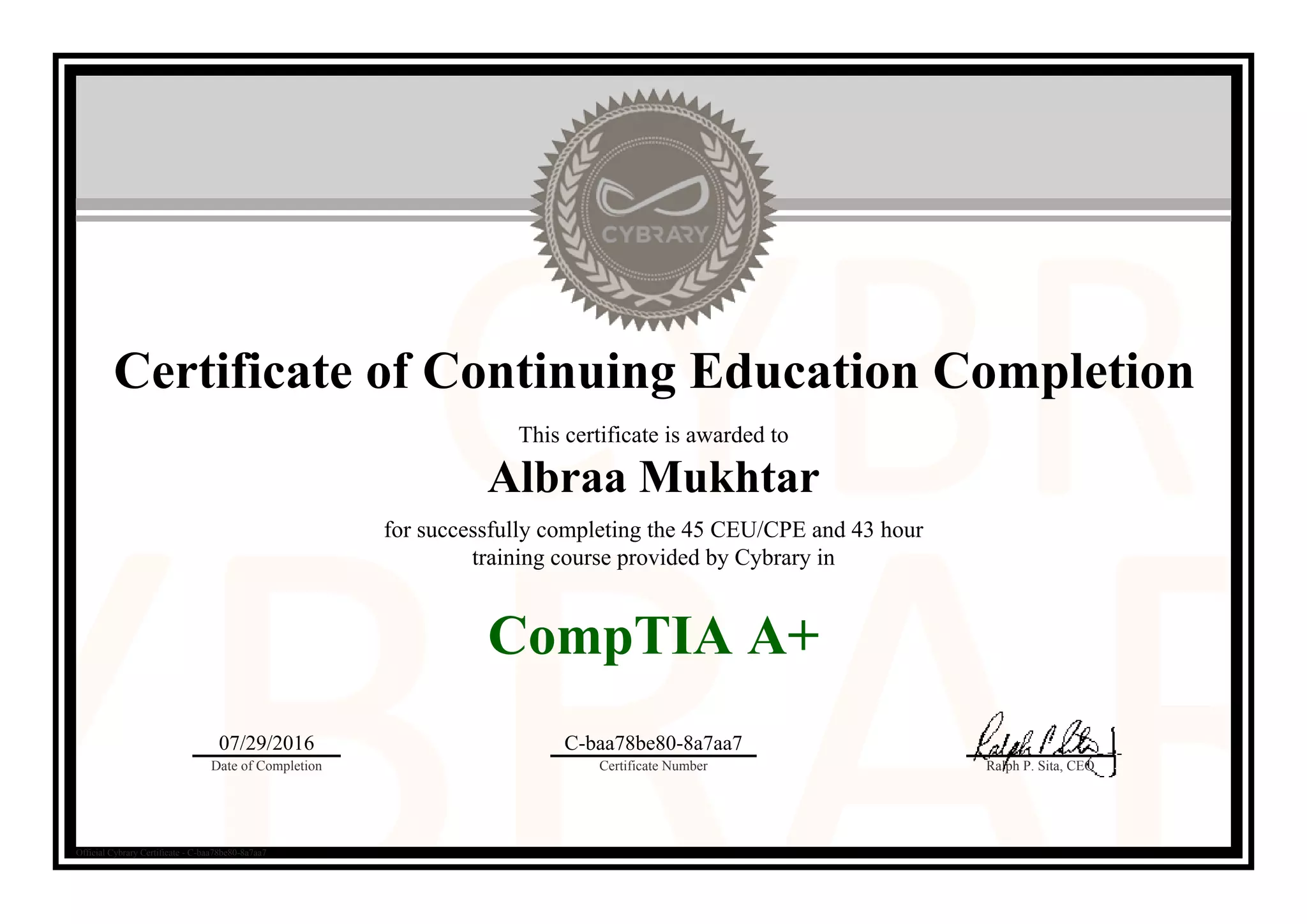 CompTIA A+ | PDF