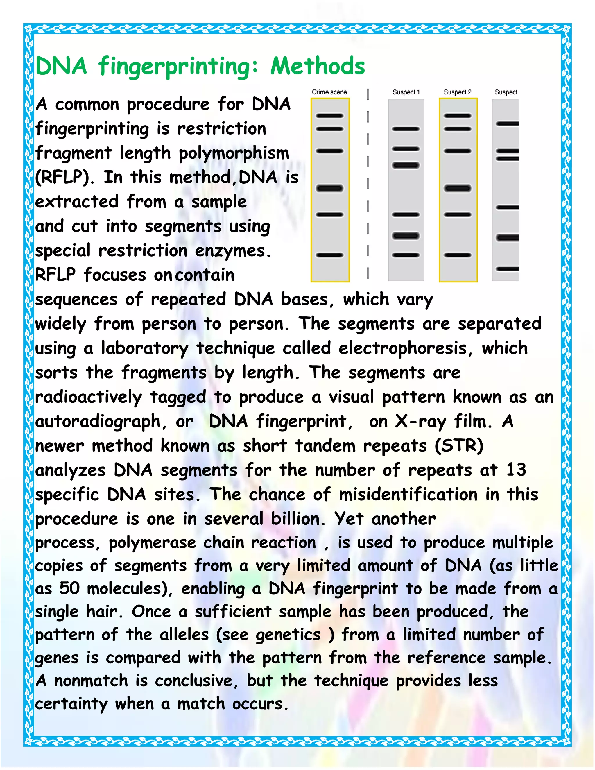352180832 dna-fingerprint-investigatory-project-class-12 (1) | PDF