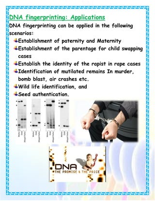 352180832 dna-fingerprint-investigatory-project-class-12 (1) | PDF