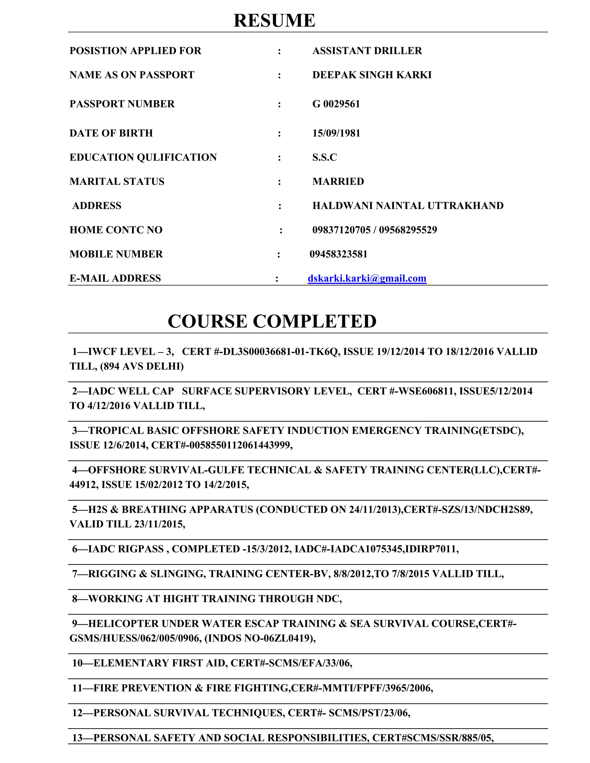 CV Deepak Singh Karki | PDF