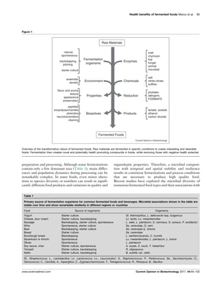 1-s2.0-S095816691630266X-main | PDF