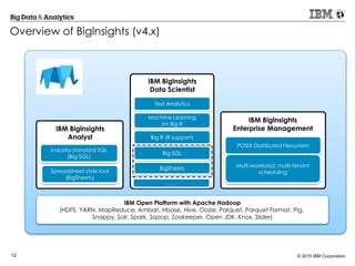 IBM Smarter Analytics | PPT
