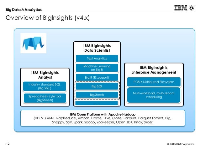 IBM Smarter Analytics