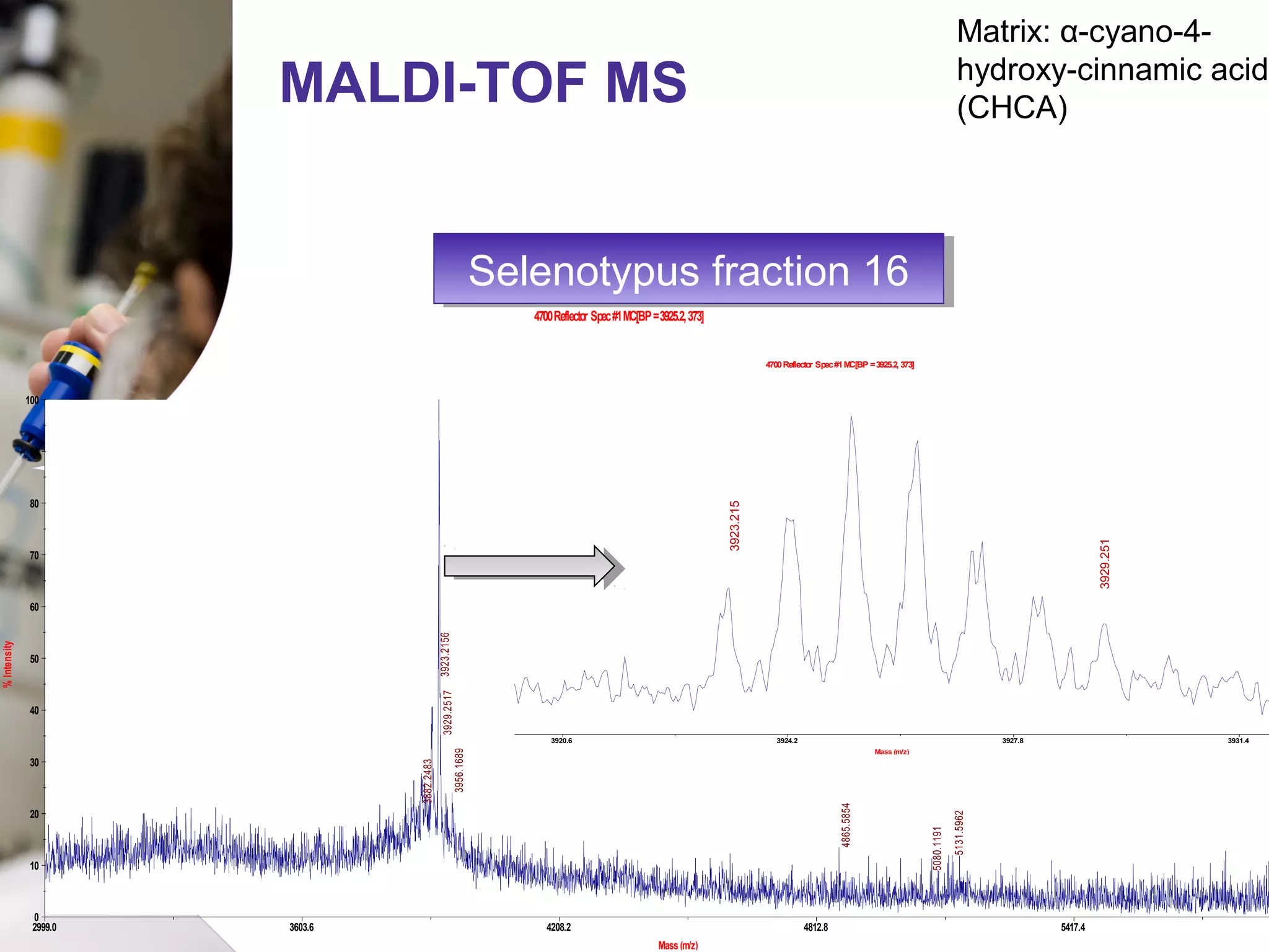 IMB slide template | PPT
