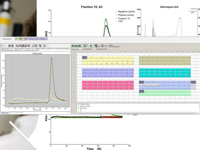 IMB slide template | PPT