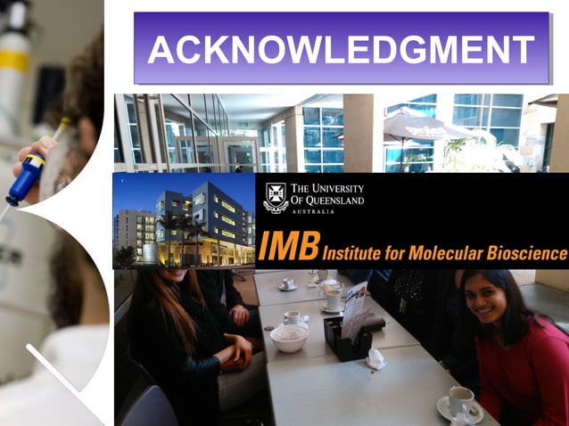 IMB slide template | PPT