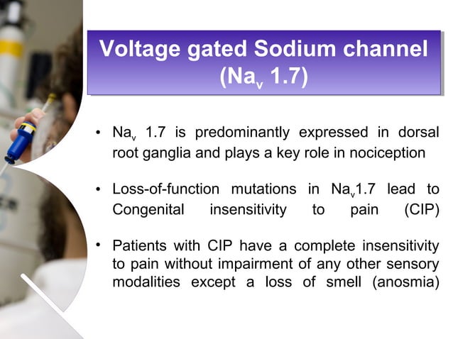 IMB slide template | PPT