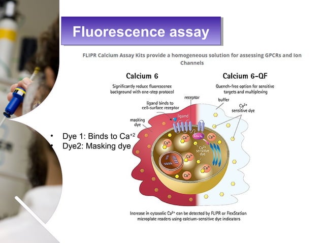 IMB slide template | PPT