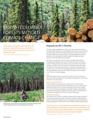 Forests-Wood-and-Climate-Change-Fact-Sheet | PDF