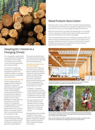 Forests-Wood-and-Climate-Change-Fact-Sheet | PDF