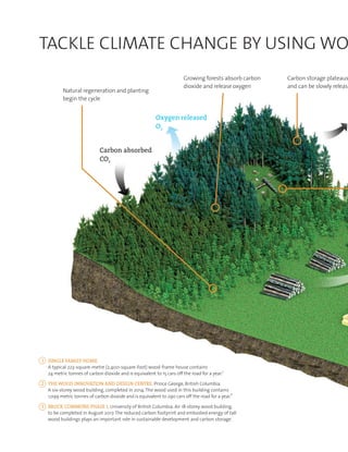 Forests-Wood-and-Climate-Change-Fact-Sheet | PDF