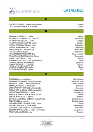 catalogo_completo | PDF