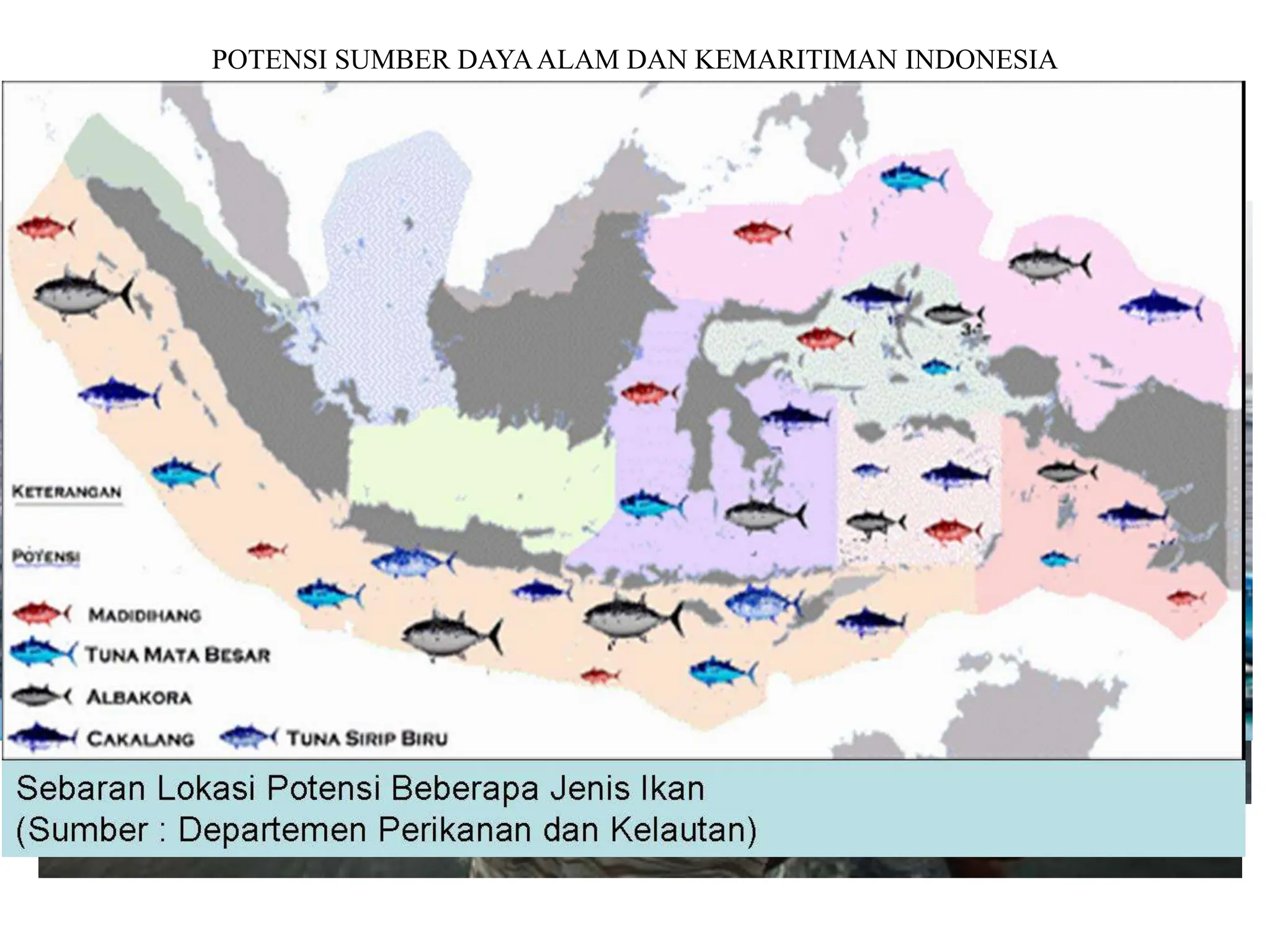 356870176-Potensi-Sumber-Daya-Alam-Dan-Kemaritiman-Indonesia-Ppt.pptx