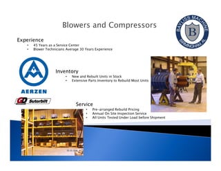 Bayliss Capabilities | PDF