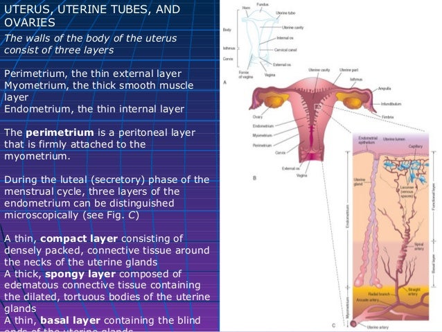 357 lectures (1-2) b
