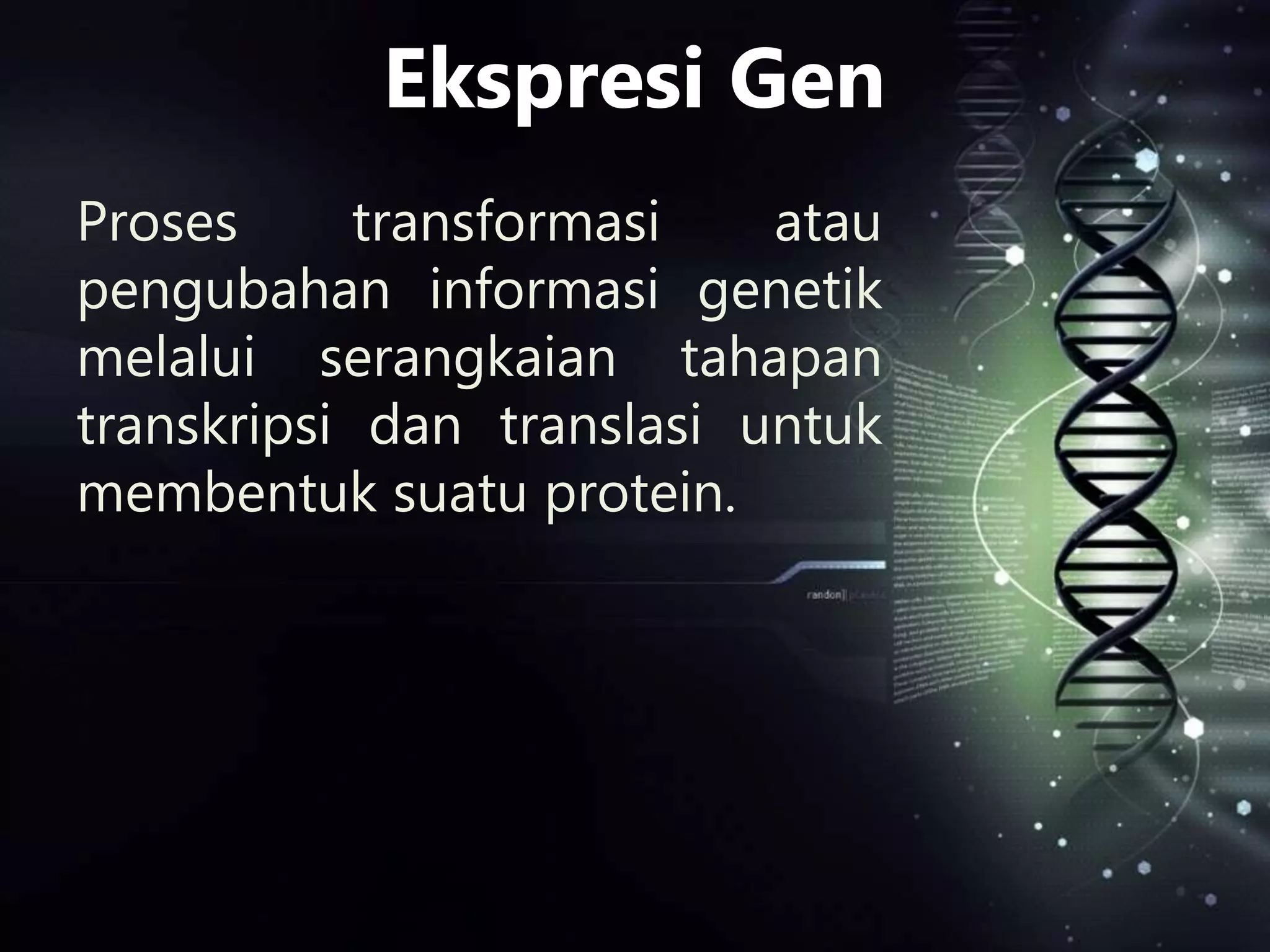 357316120-Regulasi-Ekspresi-Gen-pptx.pptx