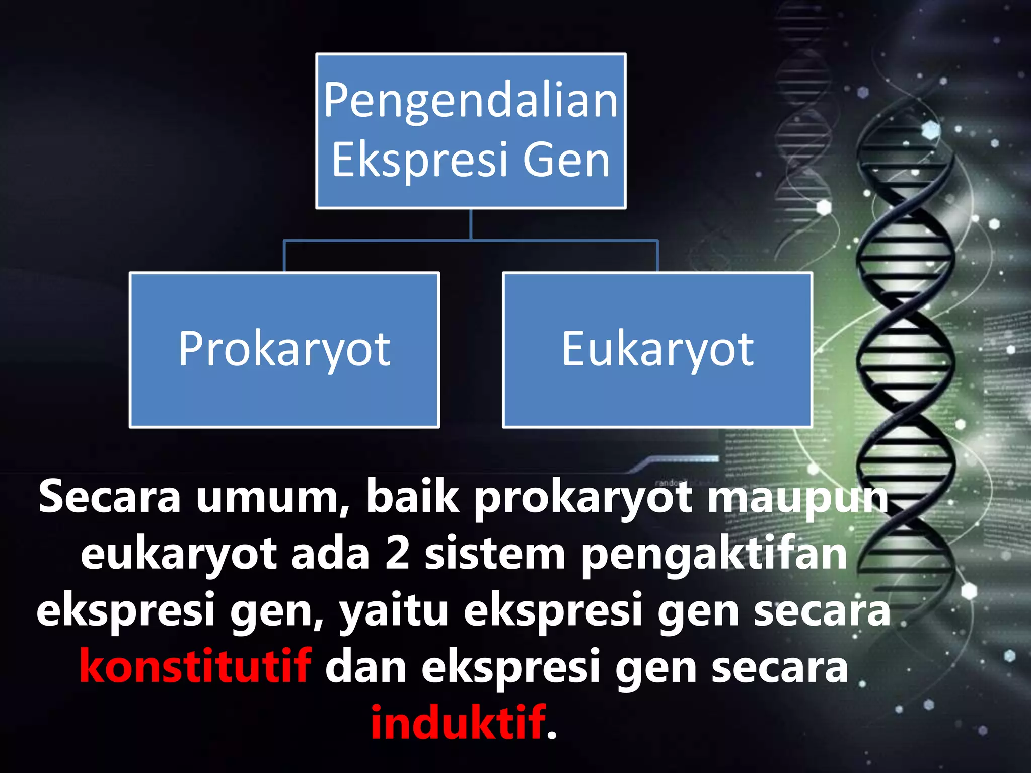 357316120-Regulasi-Ekspresi-Gen-pptx.pptx