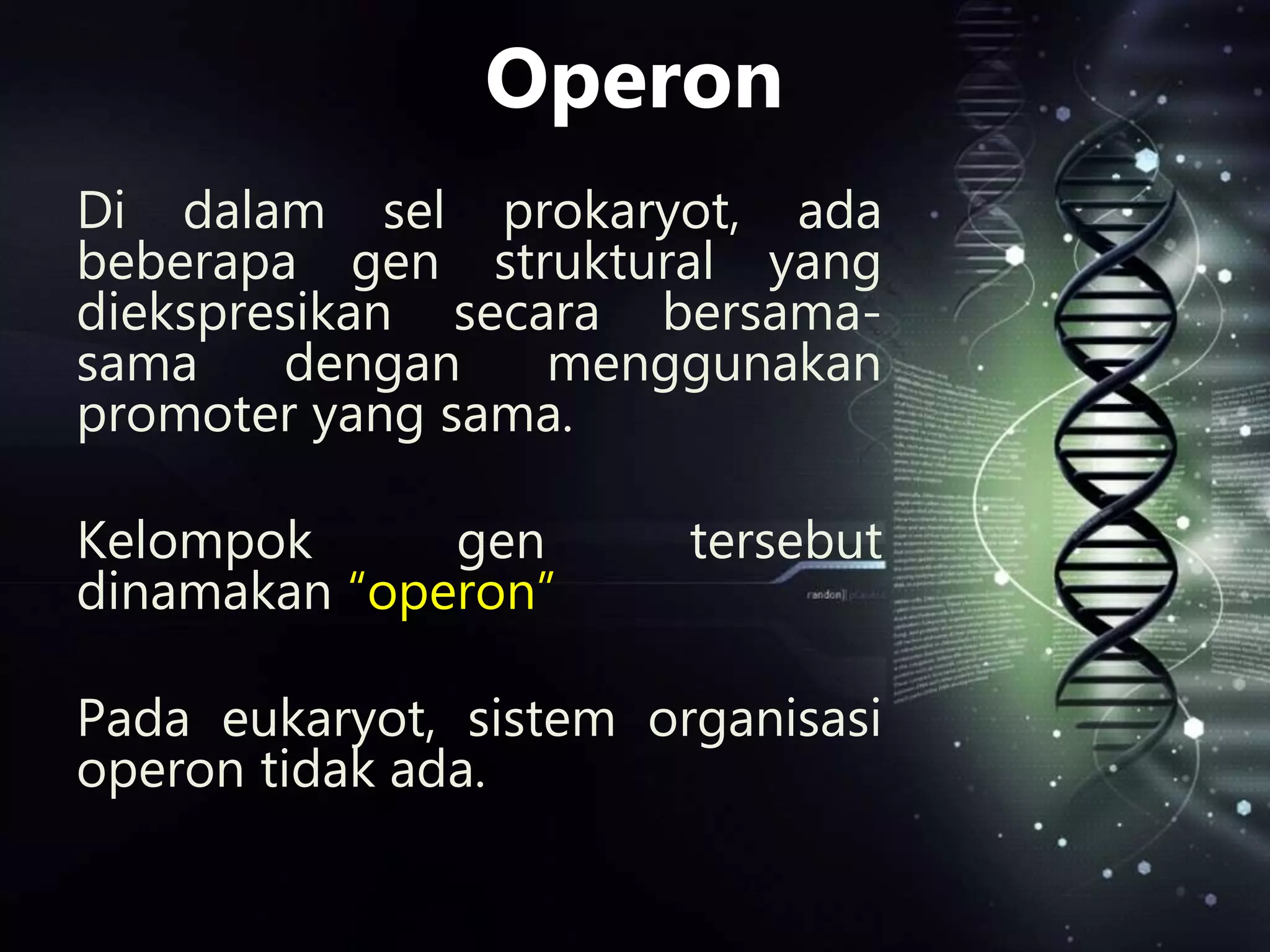 357316120-Regulasi-Ekspresi-Gen-pptx.pptx