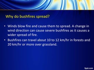 Bushfires in Australia | PPT