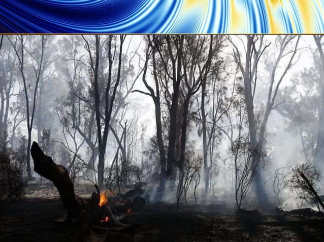 Bushfires in Australia | PPT