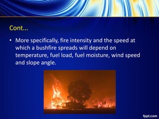 Bushfires in Australia | PPT