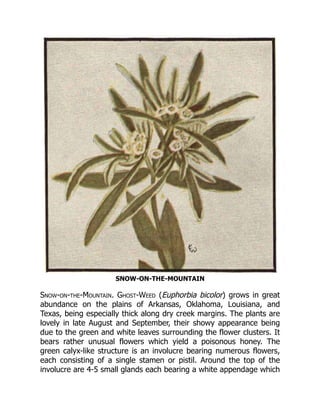 Xray Diffraction Imaging Of Biological Cells 1st Ed Masayoshi Nakasako | PDF