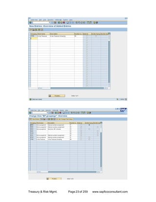 357823861 treasury-and-risk-management-configuration-pdf | PDF
