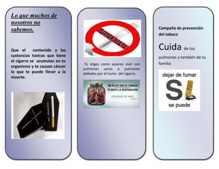 358815879-TRIPTICO-TABACO.docx