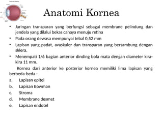 Anatomi mata pada bagian Kornea-pptx.pptx