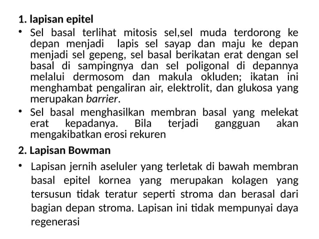 Anatomi mata pada bagian Kornea-pptx.pptx