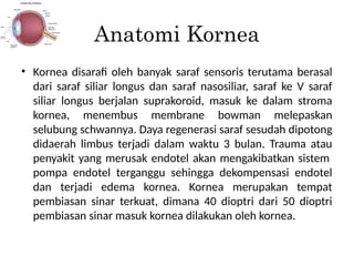 Anatomi mata pada bagian Kornea-pptx.pptx