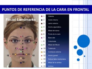 359535643 Diapositivas Analisis Facial Pdf