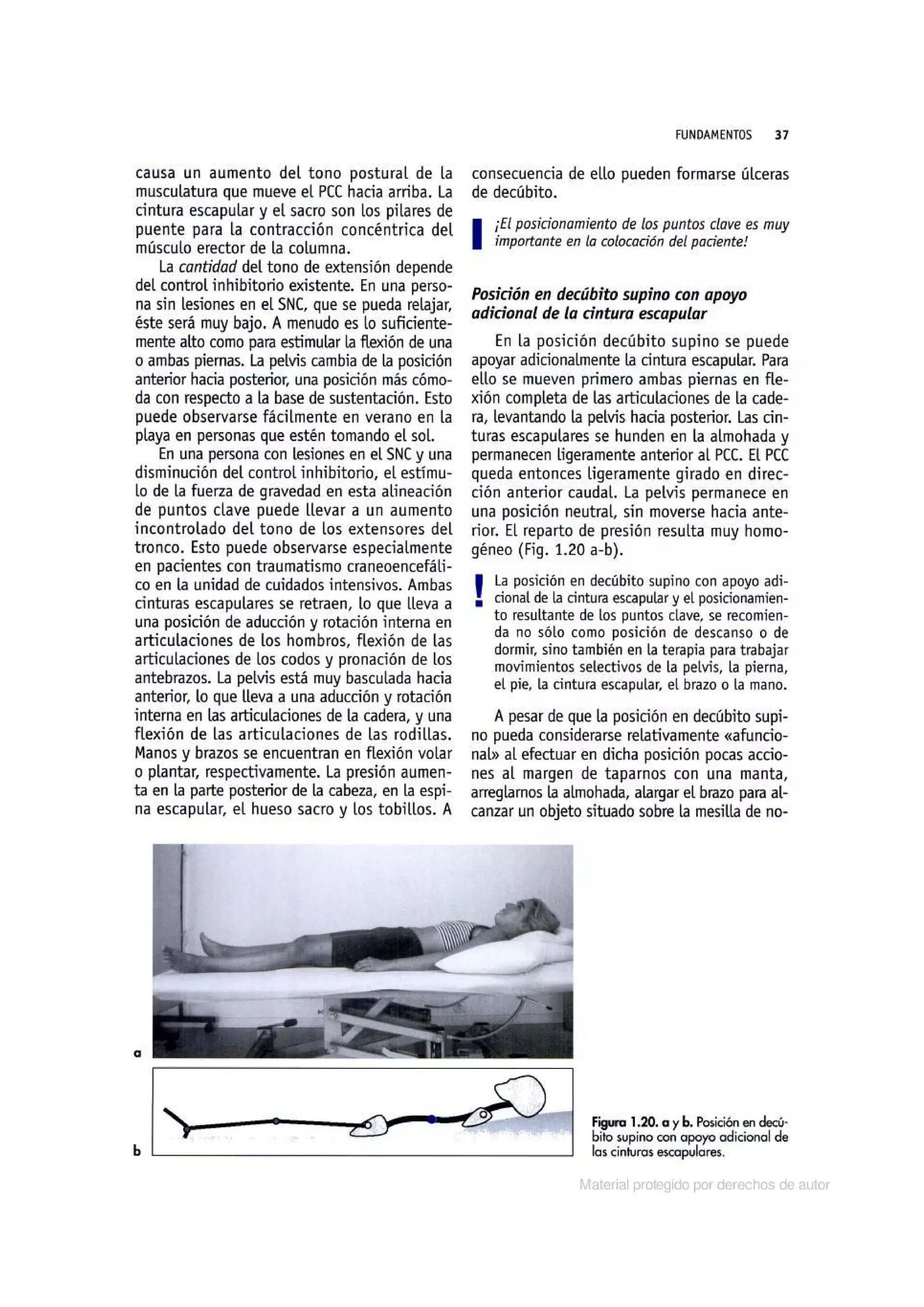 359802601-Experiencias-Con-El-Concepto-Bobath-B-Paeth-PDF.pdf