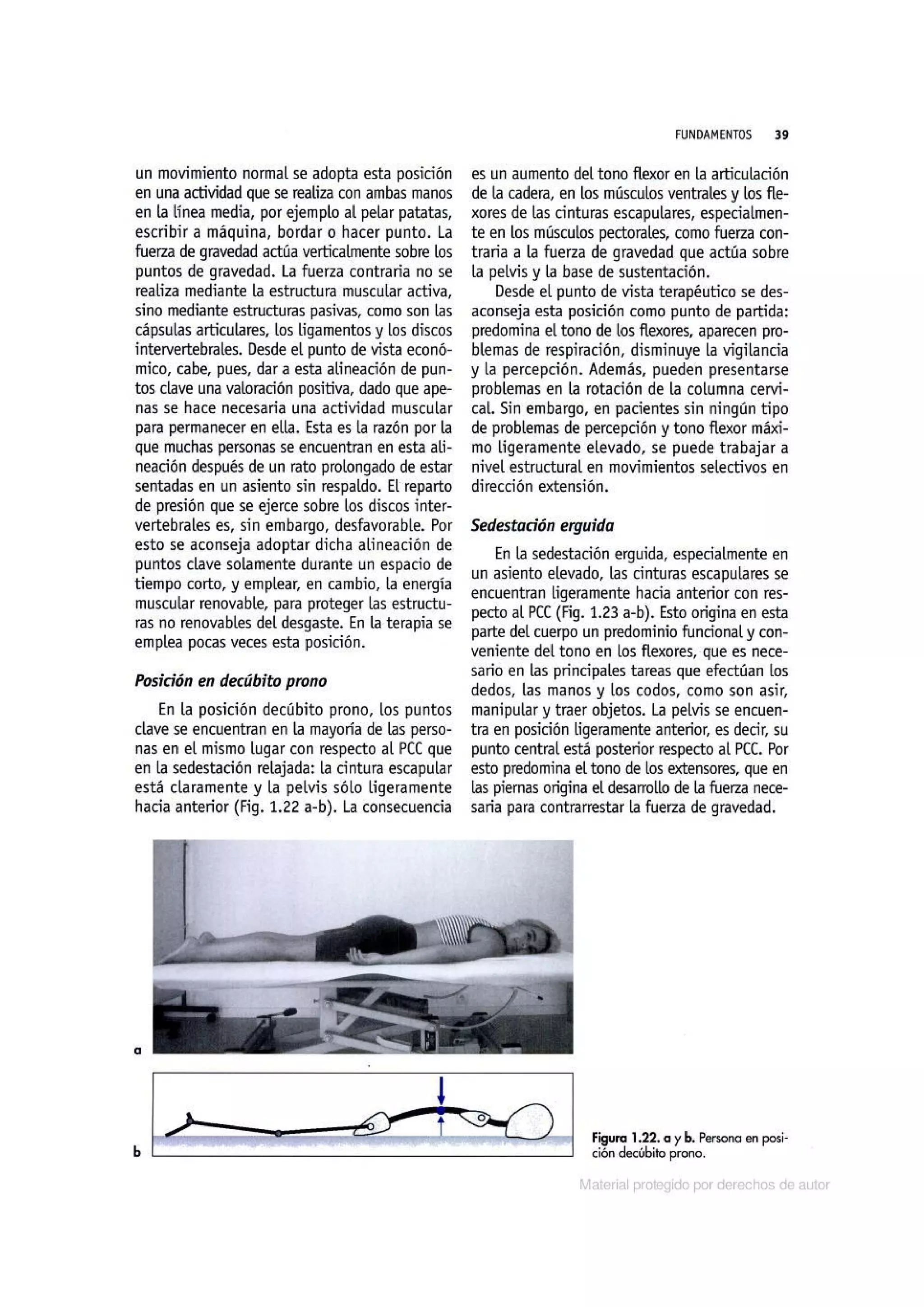 359802601-Experiencias-Con-El-Concepto-Bobath-B-Paeth-PDF.pdf