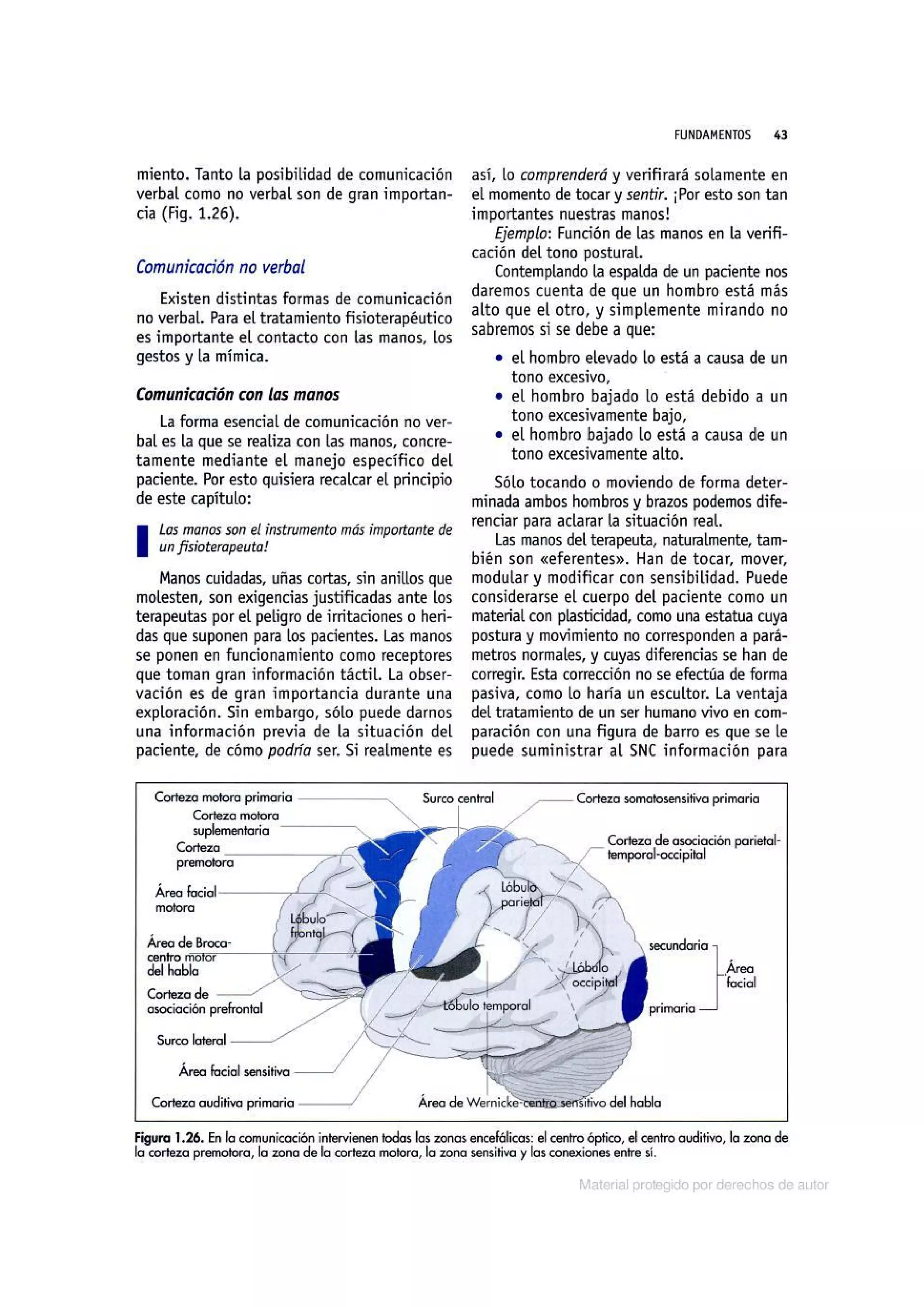 359802601-Experiencias-Con-El-Concepto-Bobath-B-Paeth-PDF.pdf