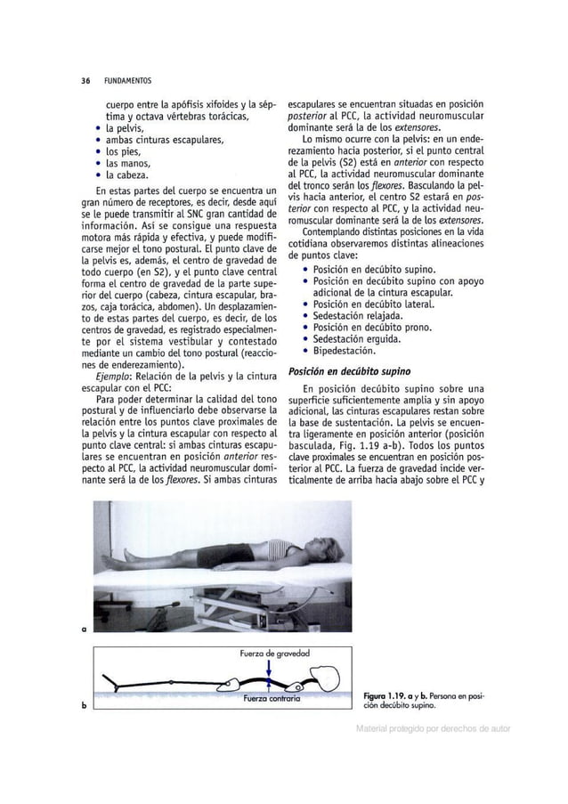 359802601-Experiencias-Con-El-Concepto-Bobath-B-Paeth-PDF.pdf
