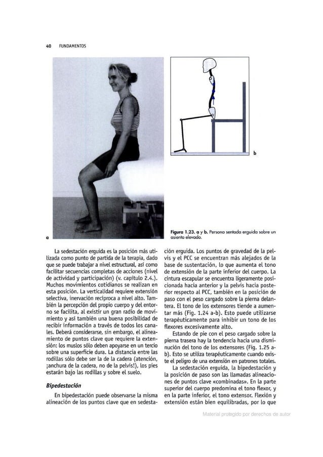 359802601-Experiencias-Con-El-Concepto-Bobath-B-Paeth-PDF.pdf