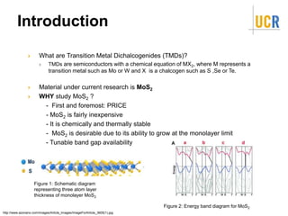 Midterm Symposium Presentation | PPTX