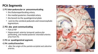 35 Anatomy of Blood Supply of the brain2 final.pptx