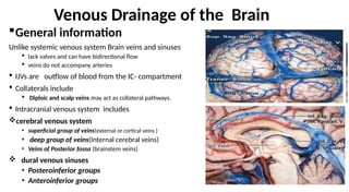 35 Anatomy of Blood Supply of the brain2 final.pptx