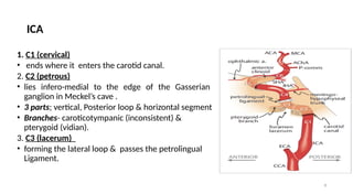 35 Anatomy of Blood Supply of the brain2 final.pptx