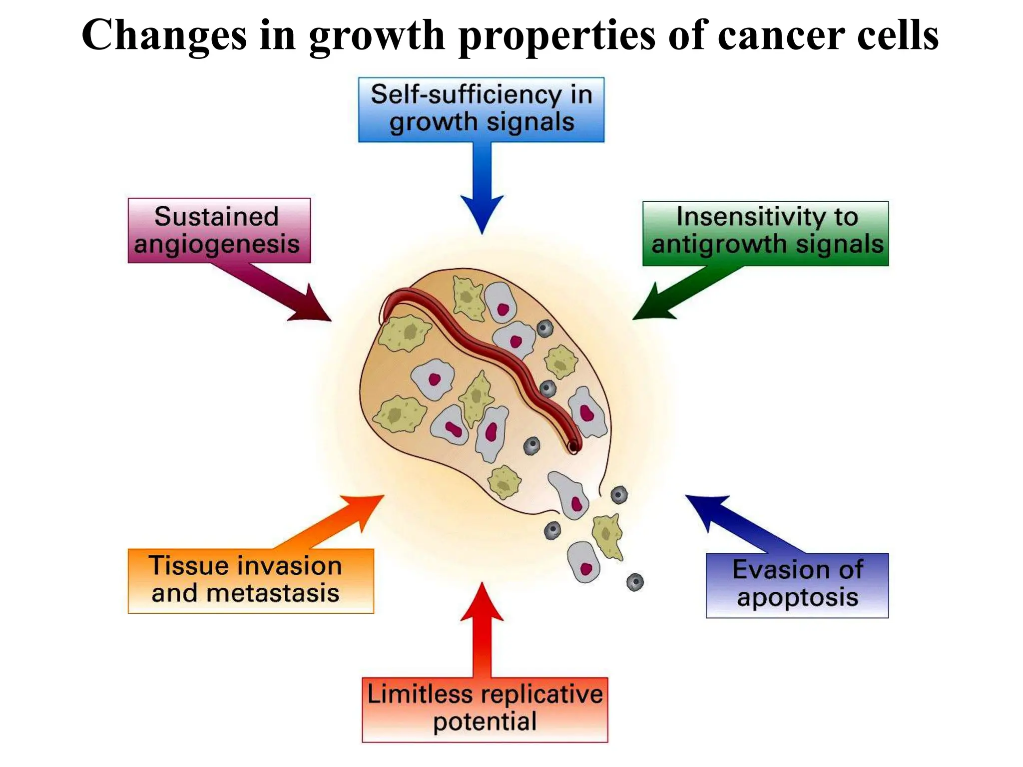 Understanding the mechanism of Cancer genetics | PPT