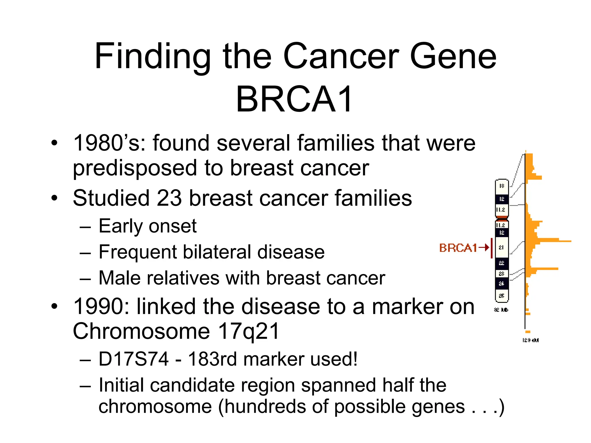 Understanding the mechanism of Cancer genetics | PPT