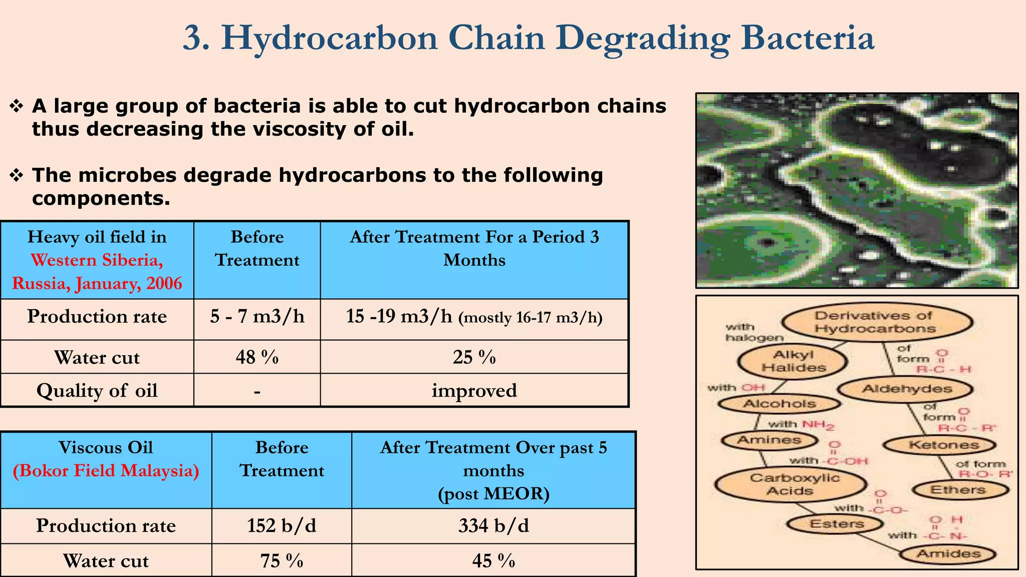 USE OF MICROBES IN MINERAL BENEFICIATION AND OIL RECOVERY p | PPTX