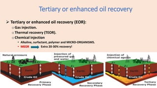 USE OF MICROBES IN MINERAL BENEFICIATION AND OIL RECOVERY p | PPTX