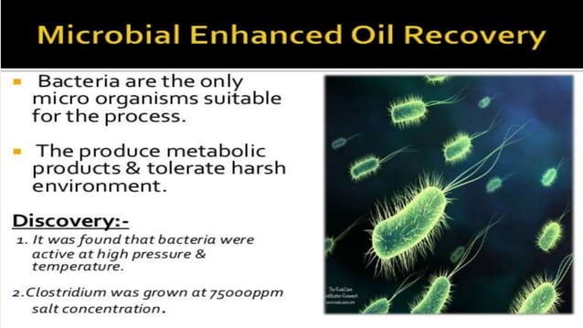 USE OF MICROBES IN MINERAL BENEFICIATION AND OIL RECOVERY p | PPTX