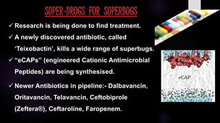 Final Presentation | PPT